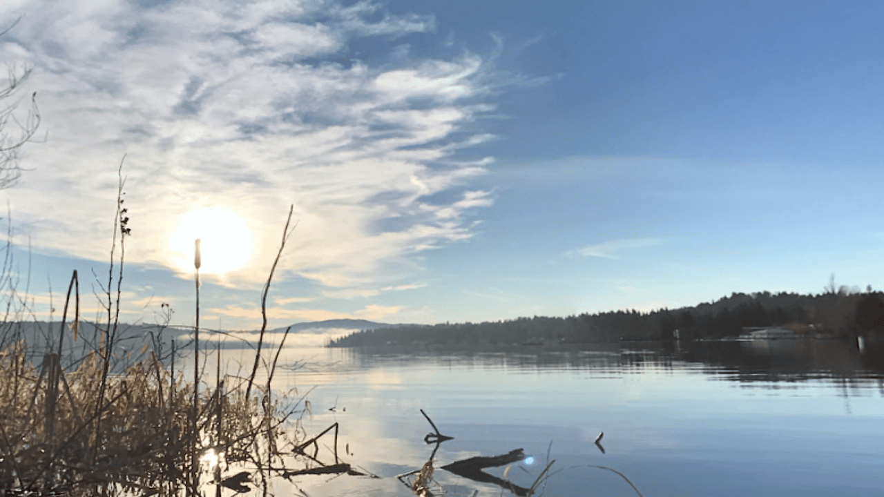 Get Your Washington Fishing License Today: Everything You Need to Know!
