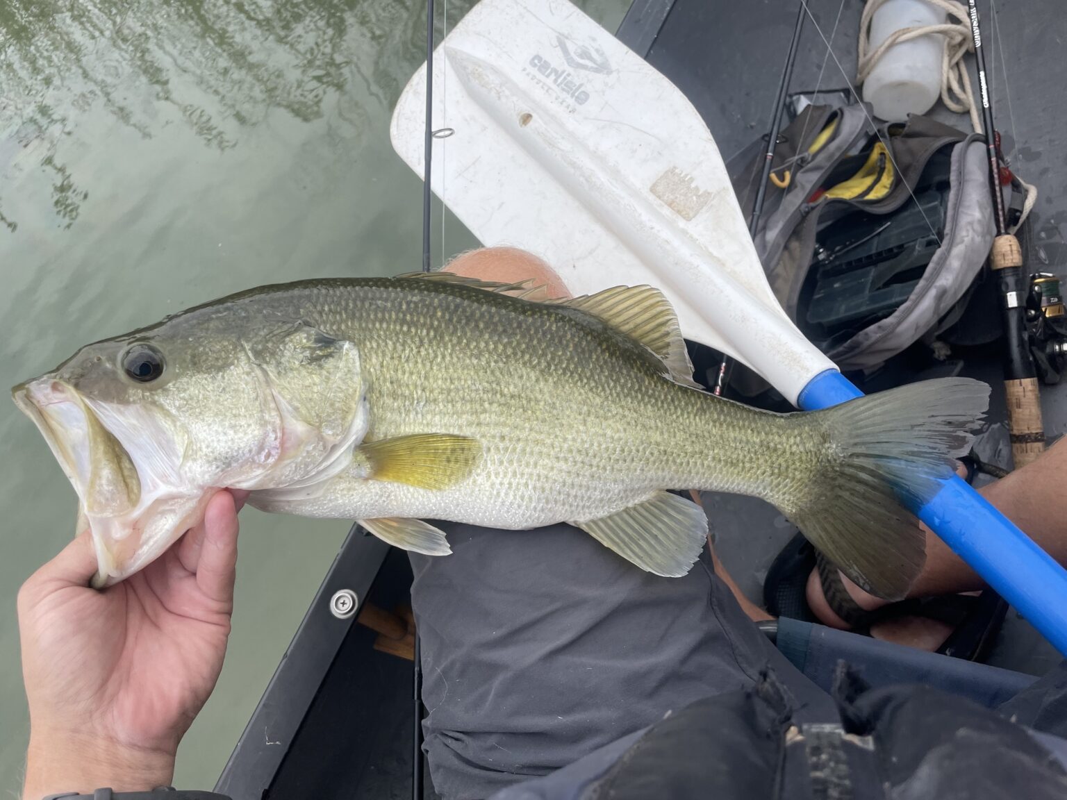 A Definitive Guide to California Fishing Seasons