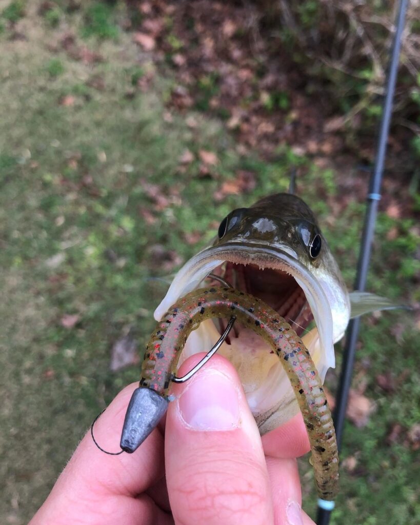 Fishing After Rain: Tips, Strategies, & Best Times to Catch Fish