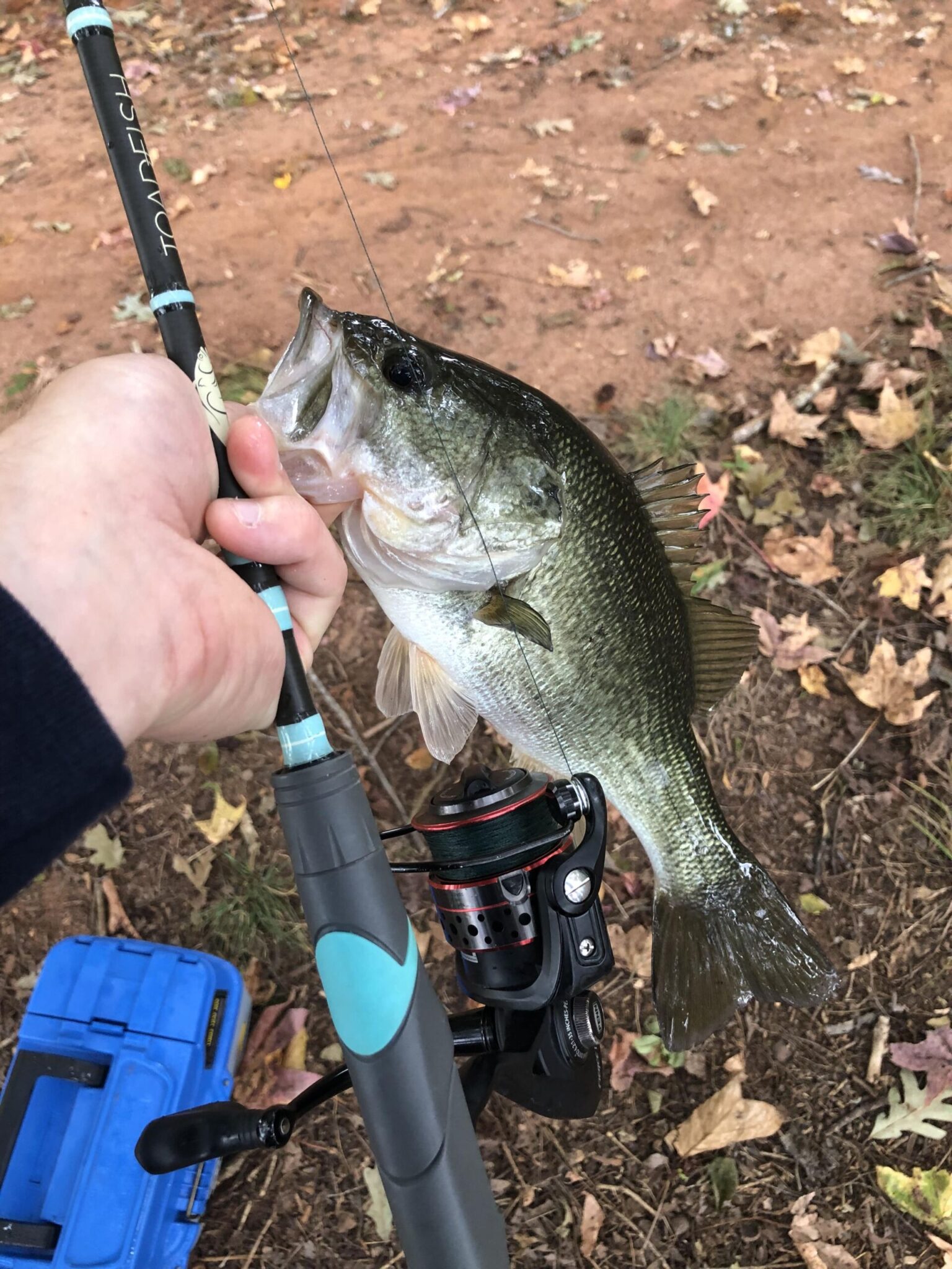 Fishing in Cold Weather: Techniques, Gear, & Tips for Success