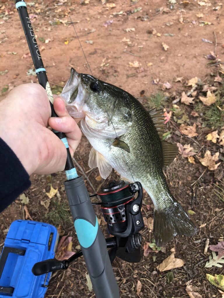 Fishing in Cold Weather: Techniques, Gear, & Tips for Success