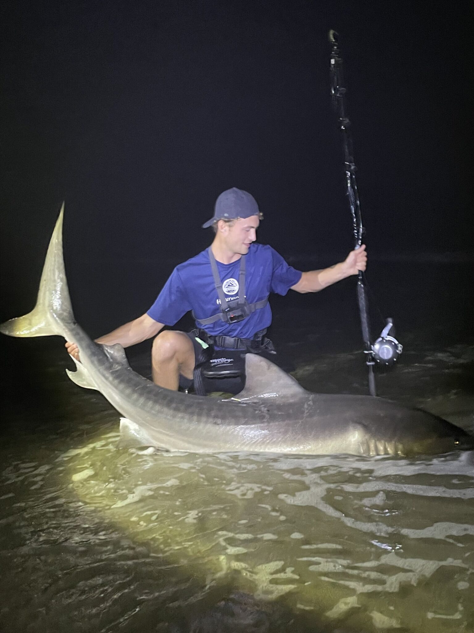 Shark Fishing: Guide for Catching Sharks from the Beach