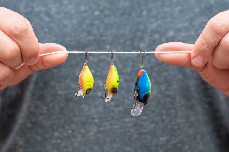 Different Types of Lures l Fishing Lure Names