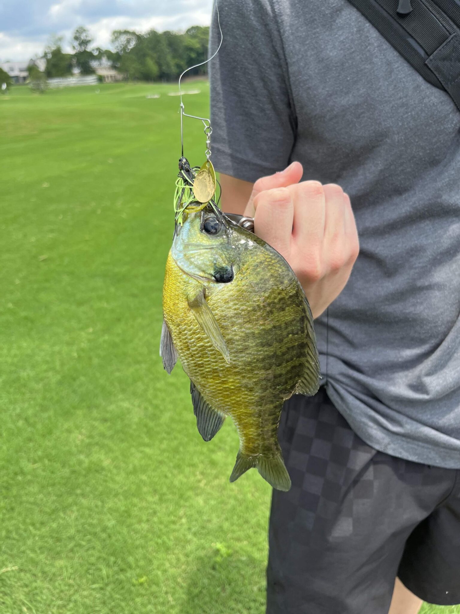 How to Catch Bluegill: Best Time, Gear, and Pro Tips